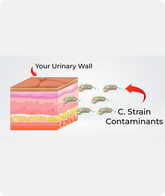 Pee Less – ExpertRemediesNatural.com